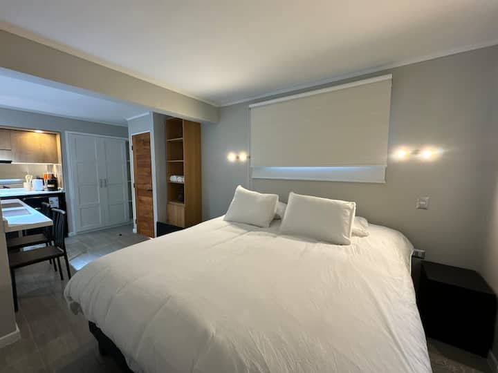 Homestudio3 Las Condes: Parking+ac+tv+wifi+piscina - Vitacura