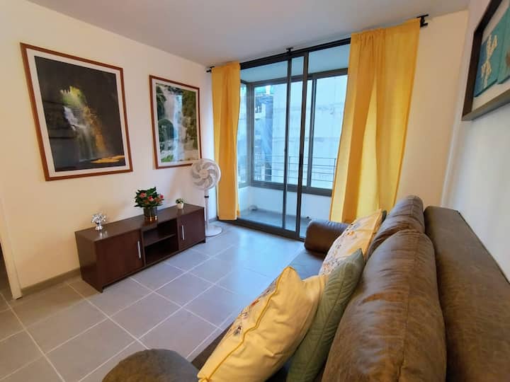 Balcon Cerca A Providencia Y Metro Sta. Isabel - Santiago, Chile