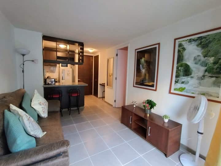 Estancias Largas Cerca A Providencia Y Metro - Santiago