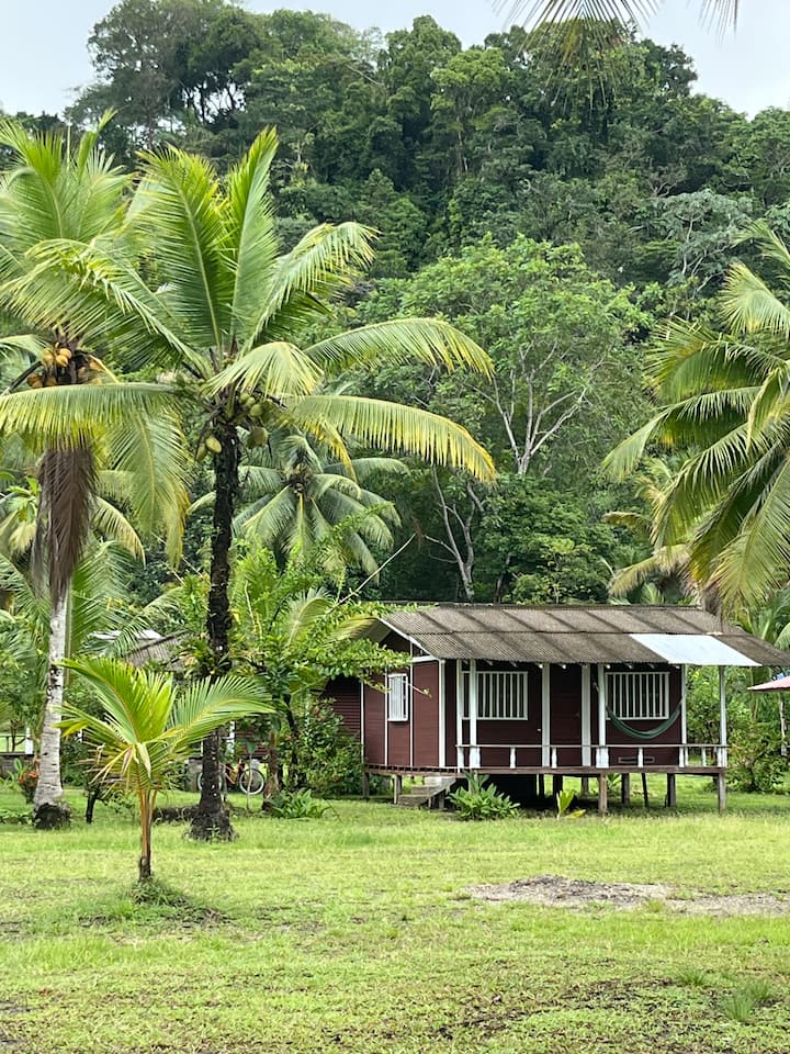 Cabañas Con Alimentación Full (4 Cabañas Igual) - Bahía Solano