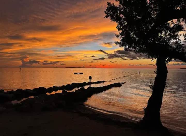 The Island Oasis, Key Largo - Key Largo, FL