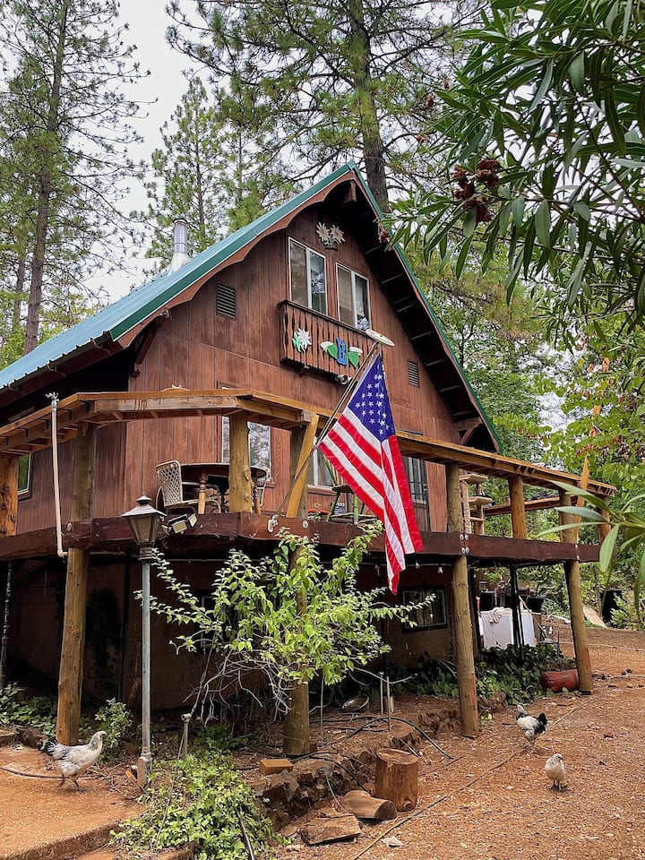 Secluded Off Grid Cabin + 4x4 Adventure Tours - Collins Lake, Browns Valley