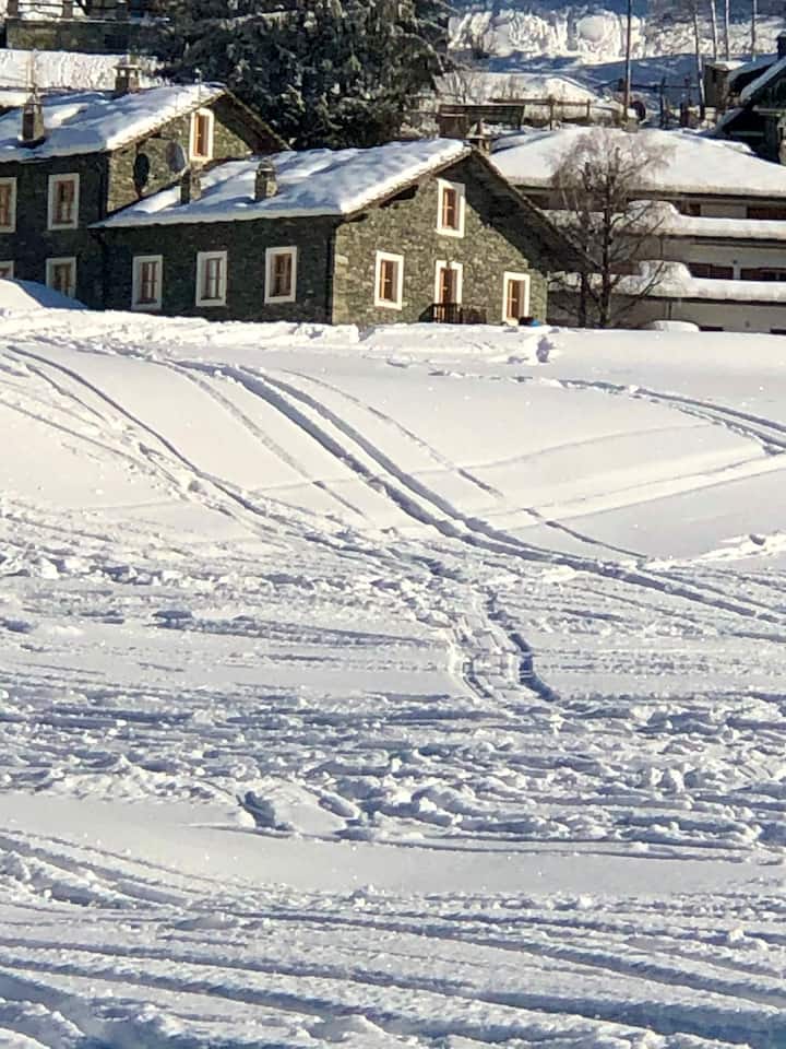 Piccolo Paradiso Nei Prati Di Cogne - Gran Paradiso