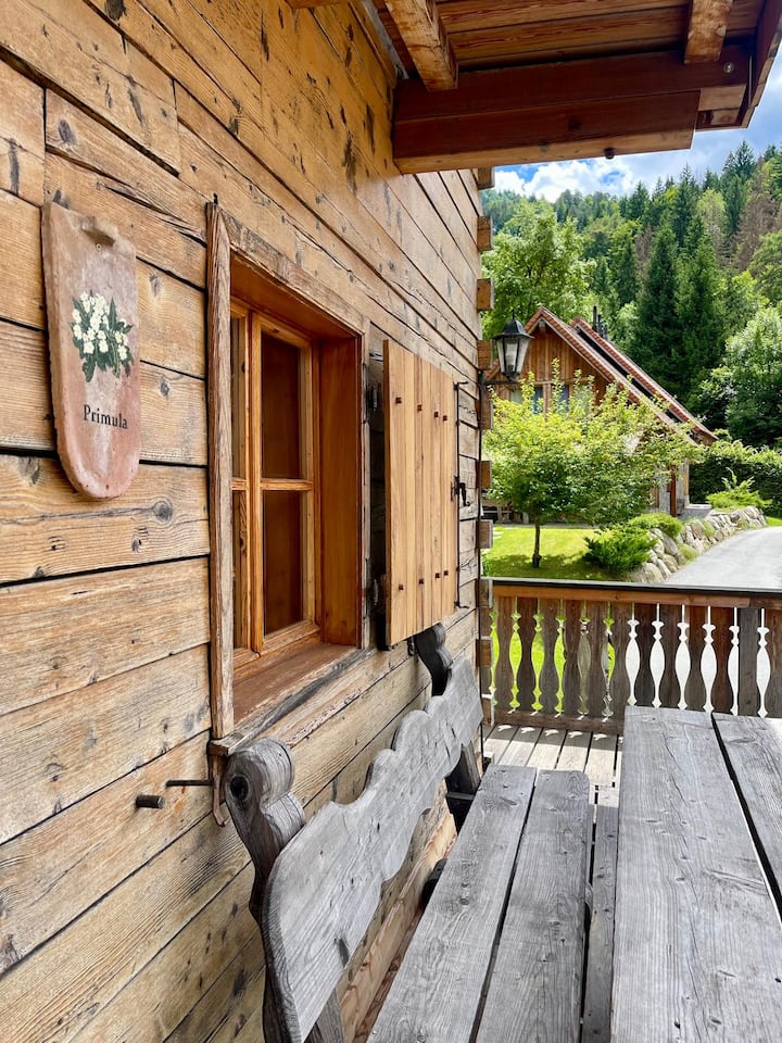 Appartamento Primula - Ravascletto