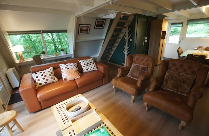 Stijlvolle En Lichtrijke Bungalow Te Durbuy - Durbuy