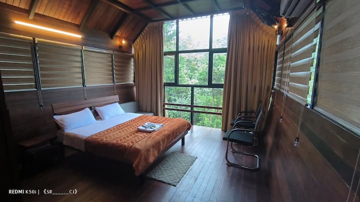 Suite Room - Kerala