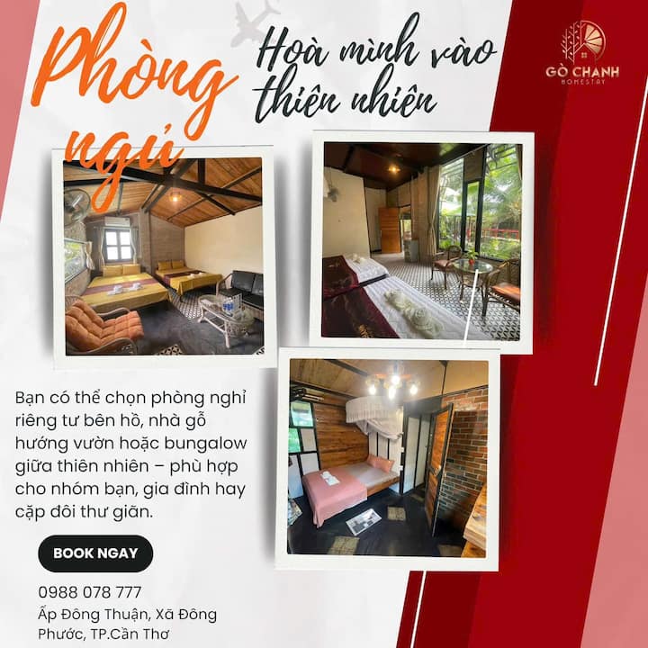 Enjoy Your Stay - Tỉnh Hậu Giang