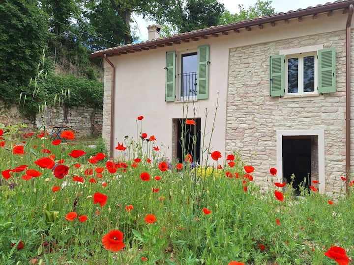 Appartement Nido Visone - マルケ