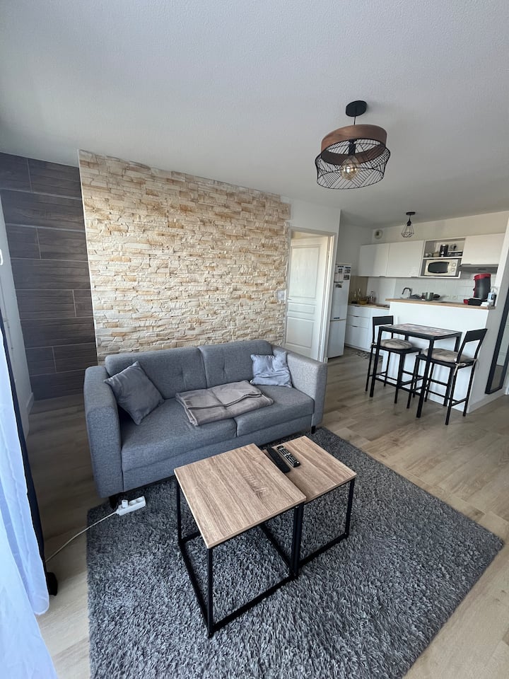 Charmant Appartement Avec Balcon Et Vue Dégagée - Nailloux