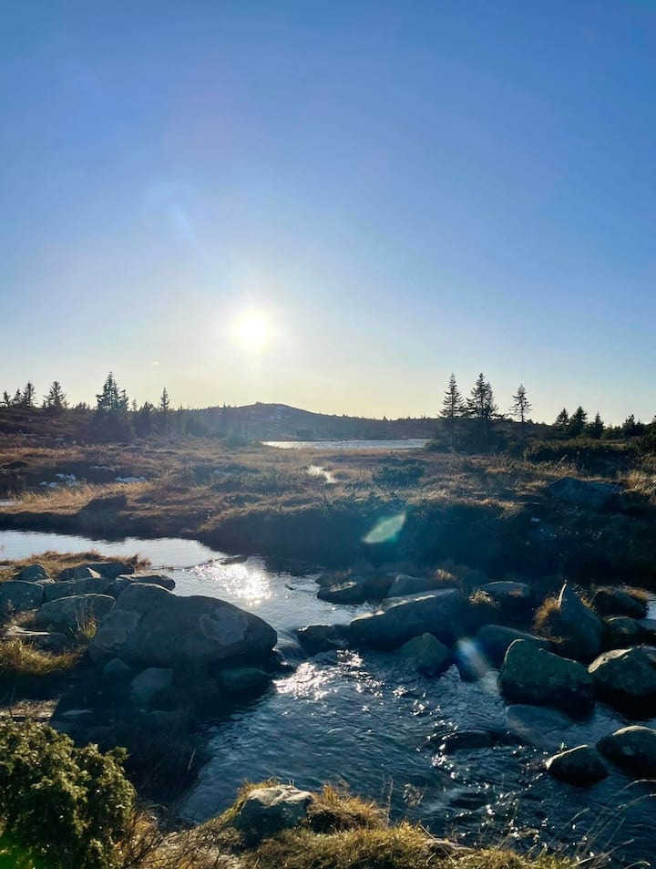 Idylliske Sjusjøen- Fjellturer Og Naturopplevelser - Norway
