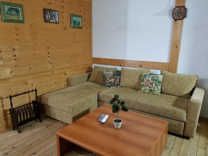 Cozy Ski In/ Ski Out Apartment In Brzece - Brus