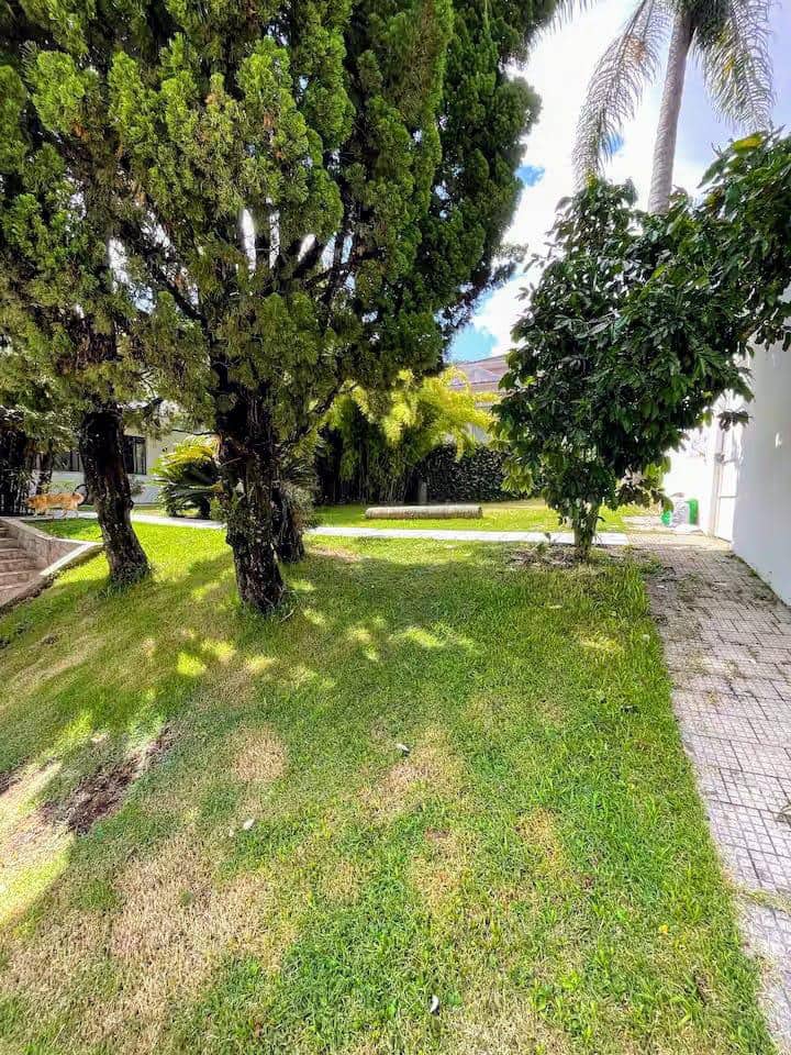 Hostel Bergamota - 古里提巴