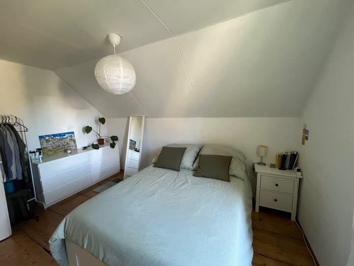 Gemütliche Dachwohnung Für 3 Monate Zu Vermieten - Zürich