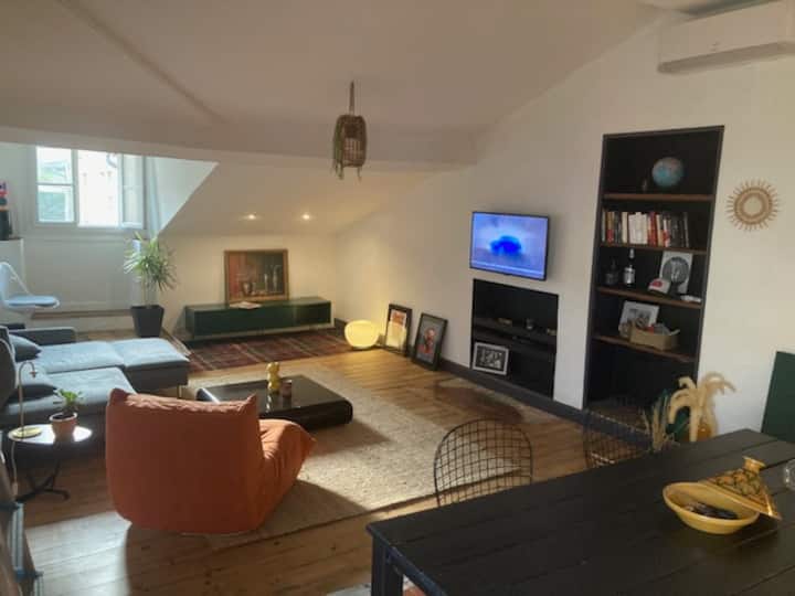 Appartement Plein De Charme En Plein Centre D'auch - Auch