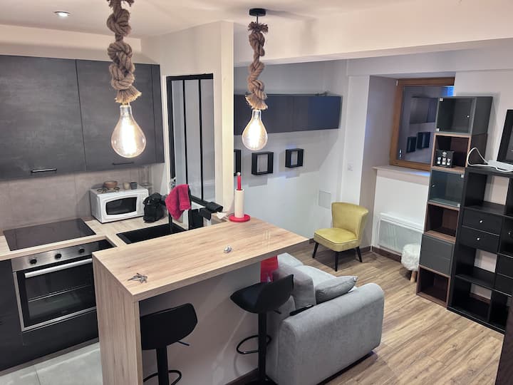 Studio Centre-ville - Chambéry