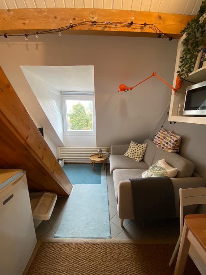 Coquet Studio Au Cœur D’un Quartier Vivant - Estrasburgo