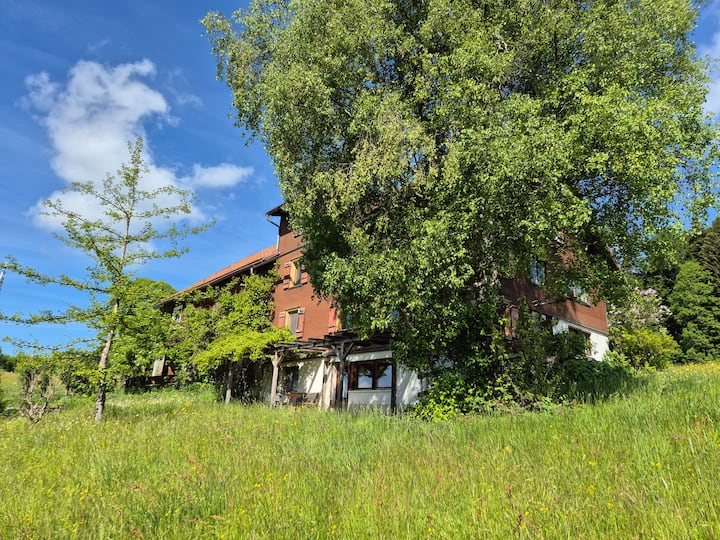 2 Zimmer Wohnung Mit Bergblick - Hittisau