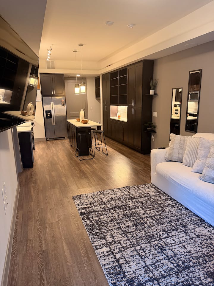 Modern 1 Bedroom Apartment In The Domain - Austin, TX