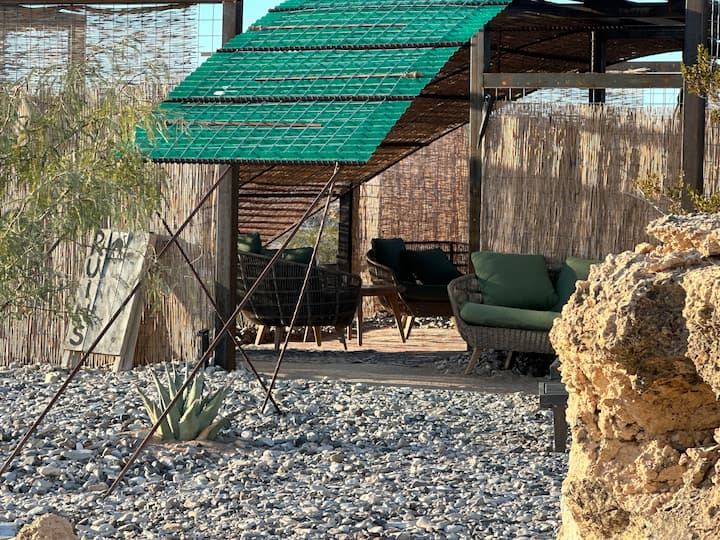 Golden Monkey Vending Machine - Ruinsterlingua - Terlingua, TX