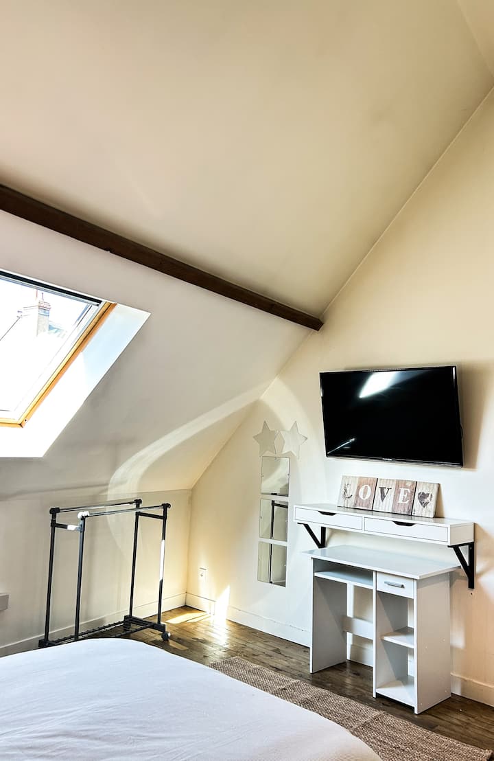 Spacieux Duplex à Orléans - Orléans