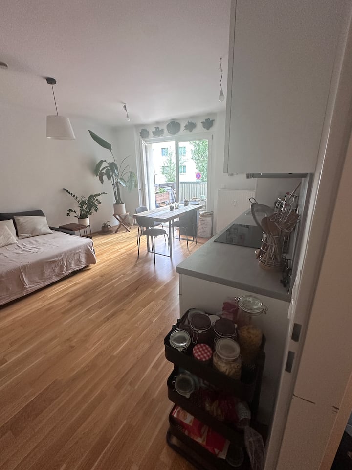 Ap. For Rent, 4-6 Weeks, End Of January -Mid-march - Salzburg