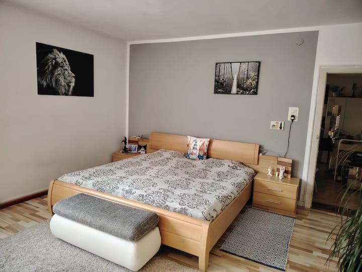 Ferienwohnung In Der Dreiflüssestadt Passau - Pasawa