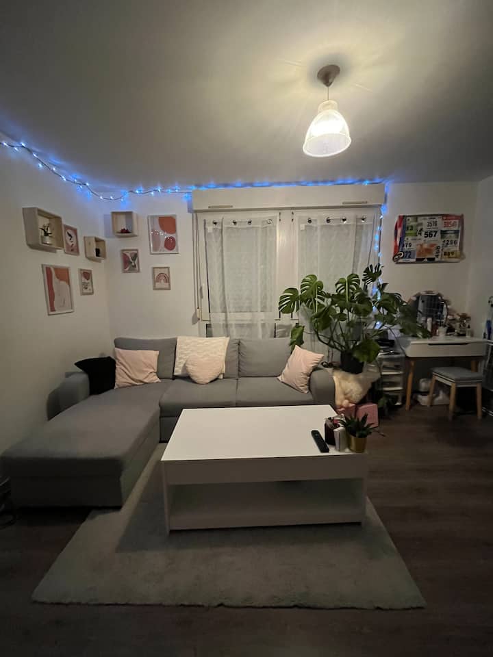 Appartement Proche Gare Et Tram - Le Mans