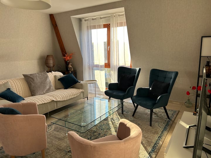 Logement 100 M 2 Calme 3 Chambres Parking Gratuit - Illkirch-Graffenstaden