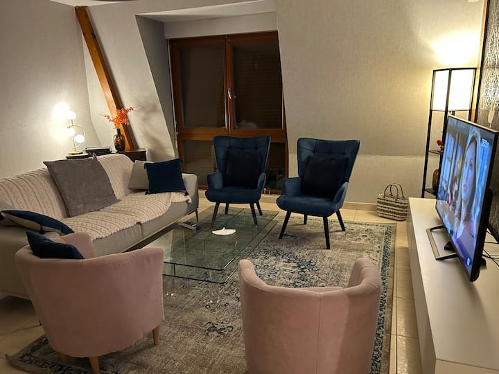 Logement 100 M 2 Au Calme 3 Chambres Parking Privé - Strasbourg