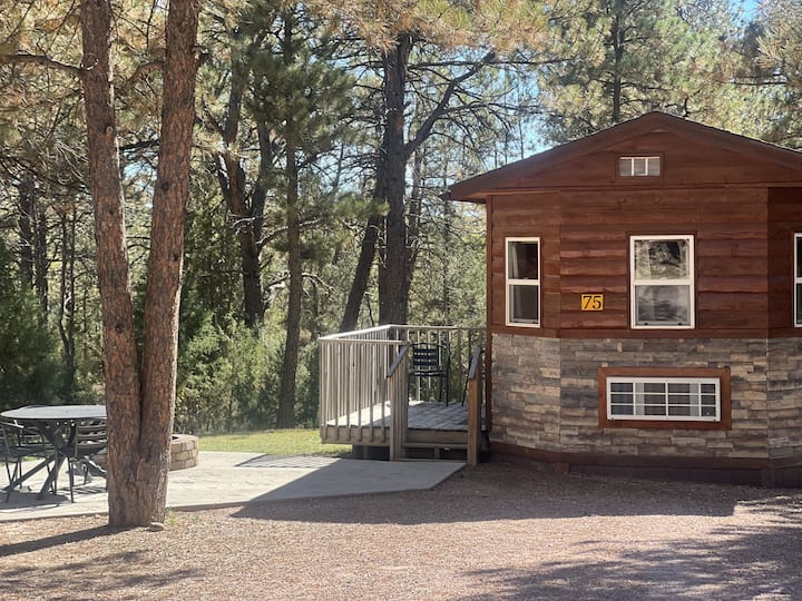 Koa Deluxe Cabin 75 - Hot Springs, SD