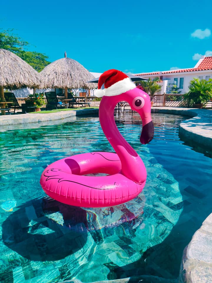 5star Hideout’s Garden Suite 7 - Ideal For Couples - Aruba