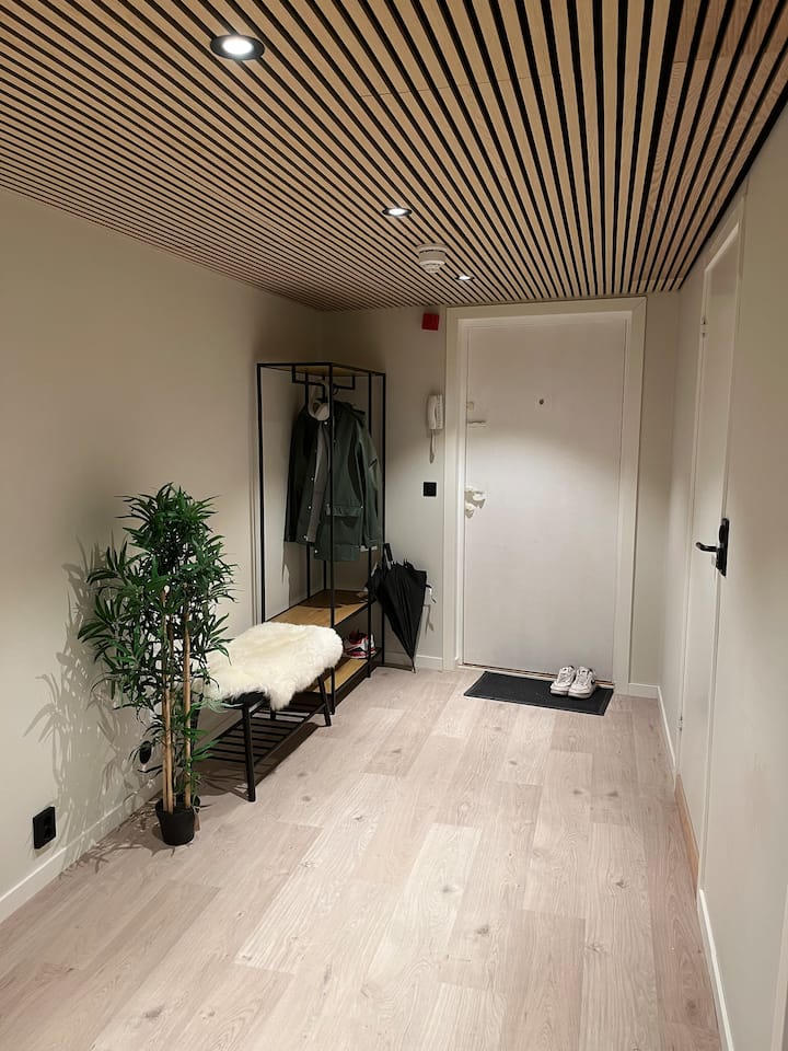 Romslig 2-roms I Oslo Sentrum M/ Parkering. - Oslo