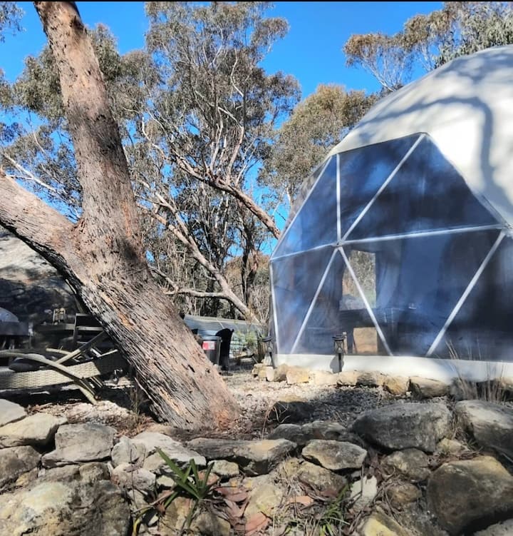 Escape To The Dome Atthe Top Of The Blue Mountains - Blue Mountains