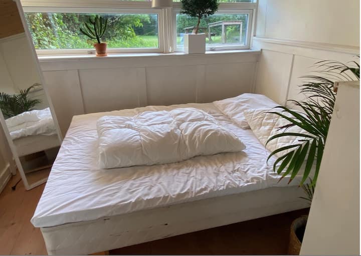 Central Lejlighed I Høj Kælder, 2 Soverum. - Esbjerg