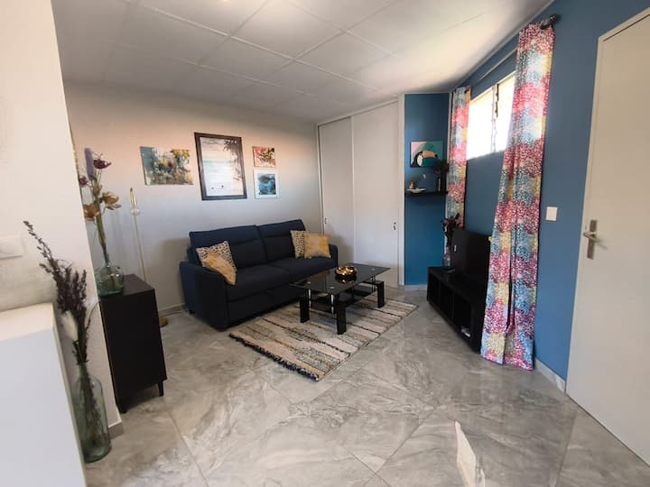 Studio Meublé 24 M² Résidence Avec Piscine Cayenne - Cayenne