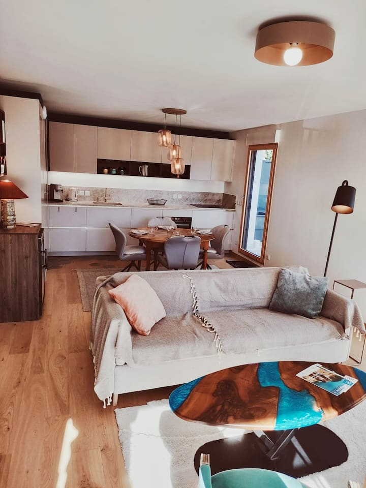 Sublime T3 à 2 Pas Du Lac Avec Grande Terrasse - Aix-les-Bains