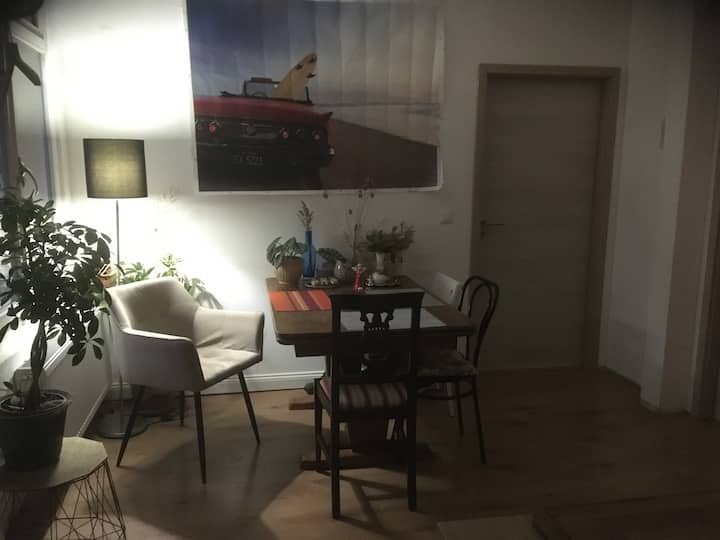 Beautiful Place To Stay In The Centre City,parking - Zurich