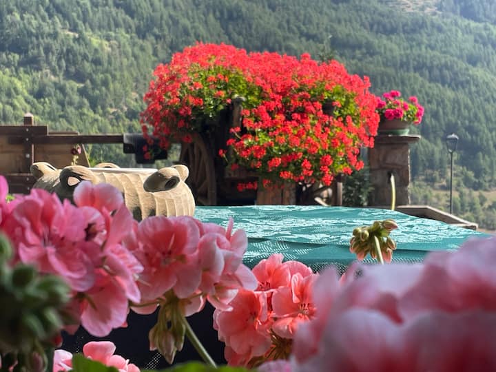 Appartamento Il Cervo - La Vecchia Stalla - Aosta Valley