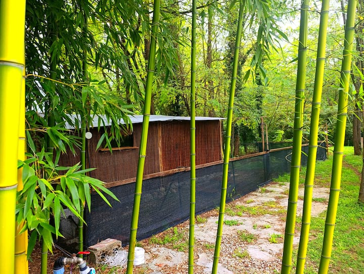 Bamboo Bongalow - Ausonia