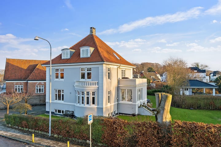 Cozy Apartment For The Big Family - Odense