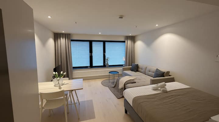 Five Stars Living Vida Arena Free Wifi - Växjö