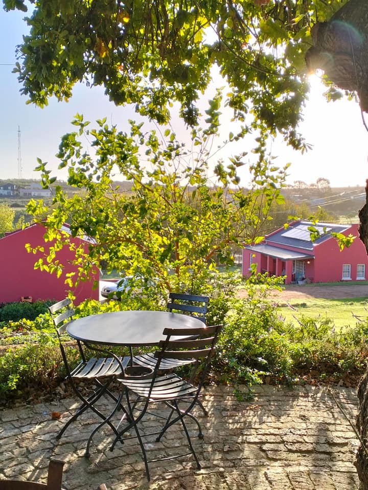 Bokmakierie Cottage At Restio Guesthouse. - Napier, South Africa