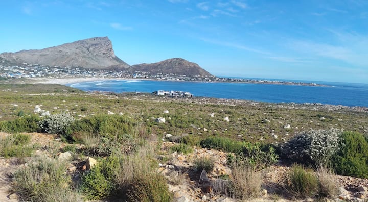 326@pringle - Pringle Bay