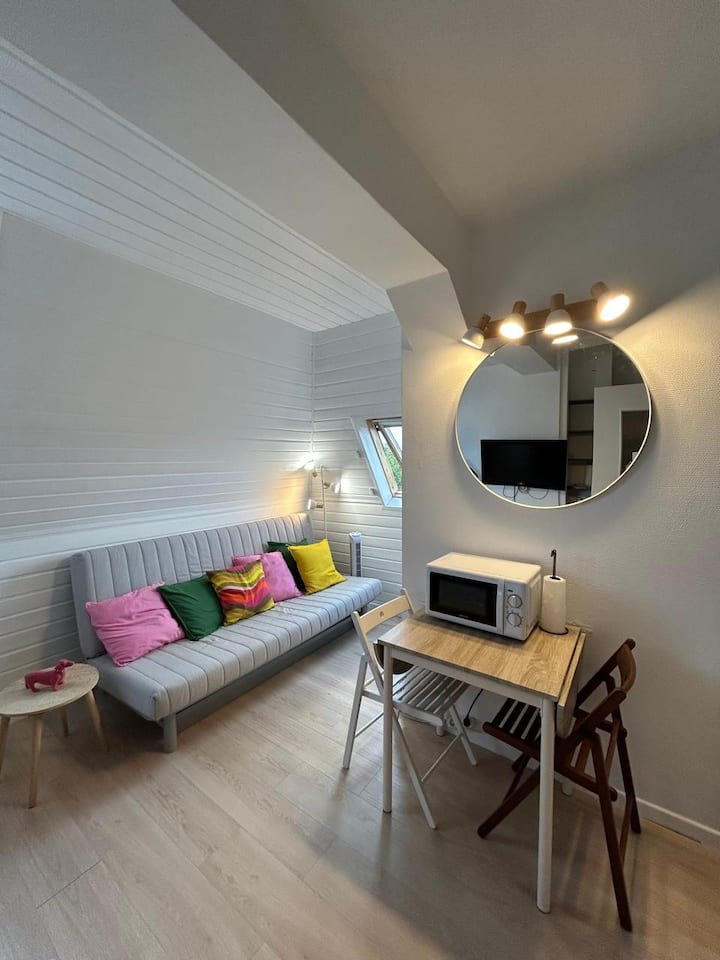 Cozy Alsatian Nest, 2 Minutes From The Cathedral - Strasbourg