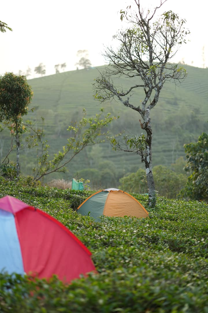 Aura Tree House Tent 3 - Vagamon