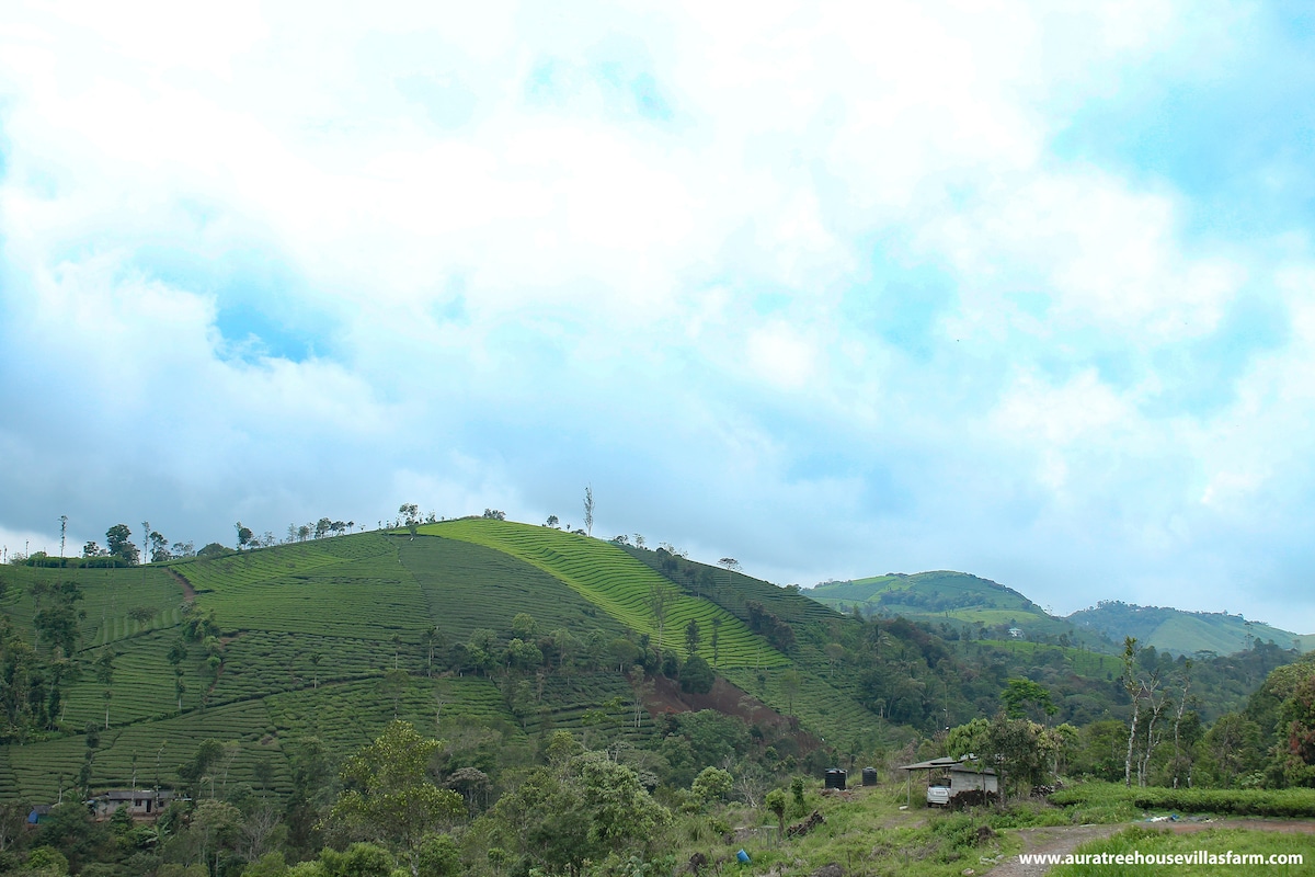 Aura Tree House Tent 1 - Tents for Rent in Vagamon, Kerala India, India ...
