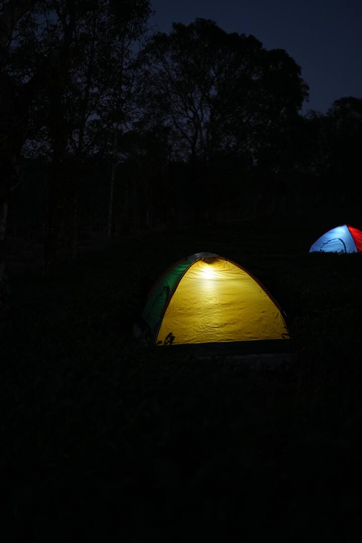 Aura Tree House Tent 4 - Idukki