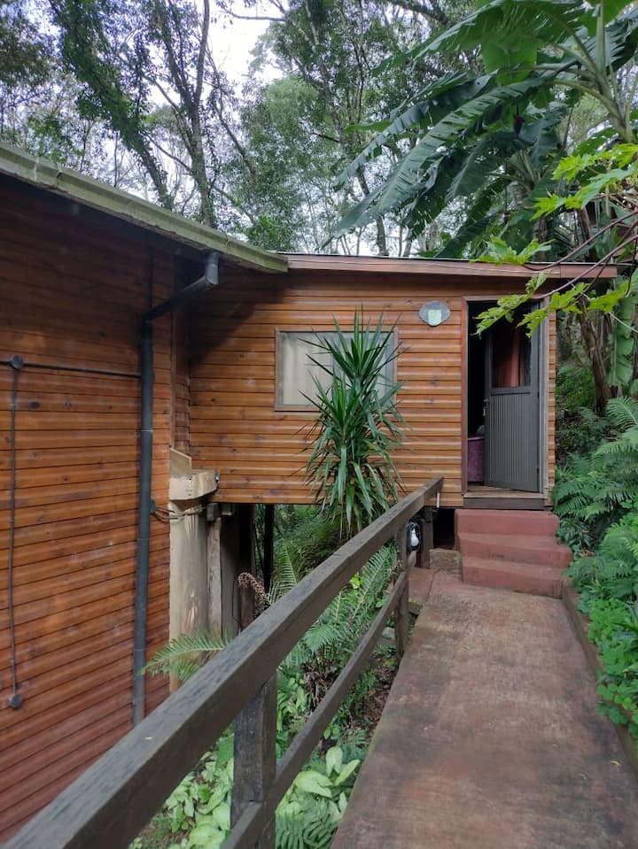 Komorebi Cabaña Zorsal, Para 6 Personas. - Montecarlo, Misiones, Argentina