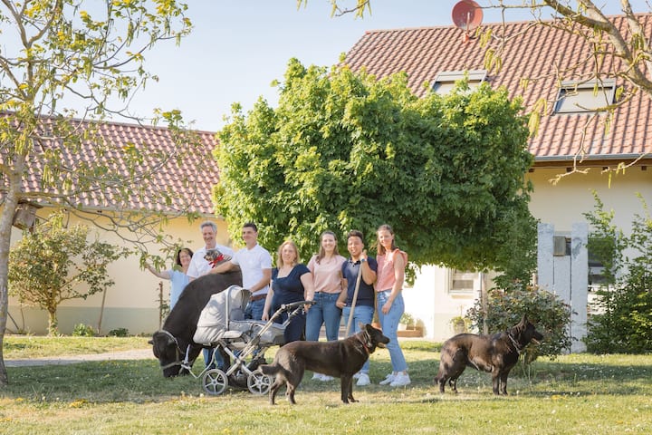Mesnerhaus Wohnung 8 | Urlaub Auf Dem Bauernhof - Bad Wimpfen