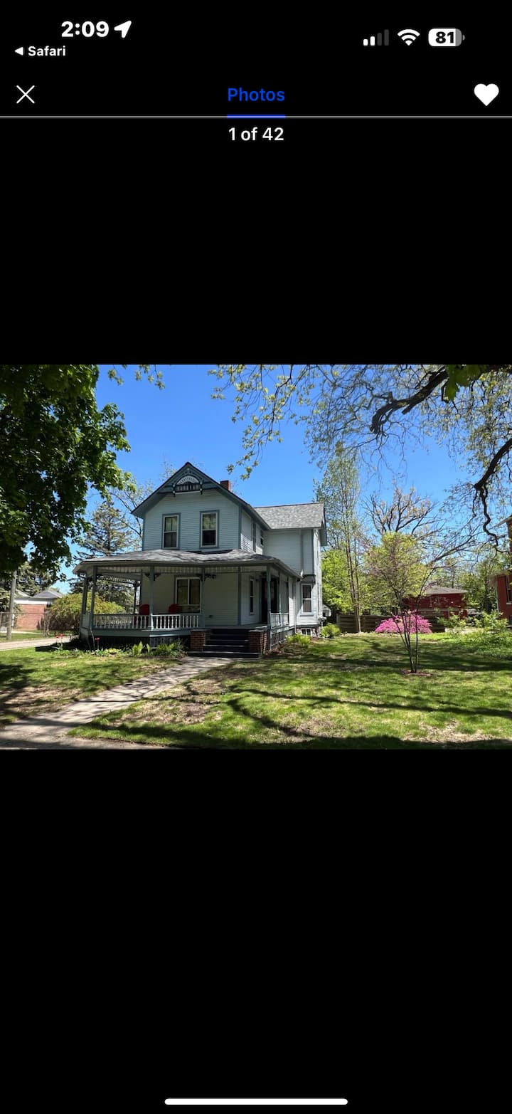 Cozy Plush Apartment On Gorgeous Historic Street - Kalamazoo, MI